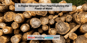 Maple Vs Pine: Which Wood is Best for Your Project? – Woodworking Advisor