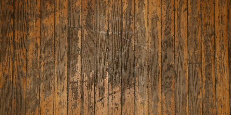 How to Banish Cat Pee Stains from Hardwood Floors: A Complete Guide