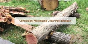 How to Make Cedar Posts Last Longer: Ultimate Tips