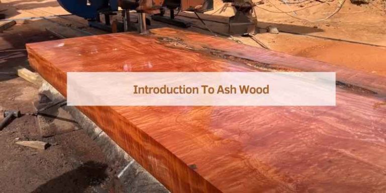 Is Ash Wood Hard? Unveiling Its Strength and Uses