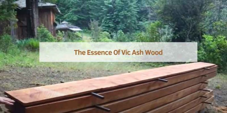 Vic Ash Wood: The Ultimate Guide to Its Beauty & Uses