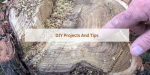 Is Locust Wood Good for Anything? Unveiling Its Secrets