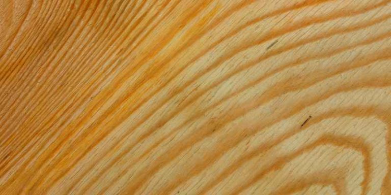 Is Zebra Wood Toxic? Uncover the Surprising Truth!