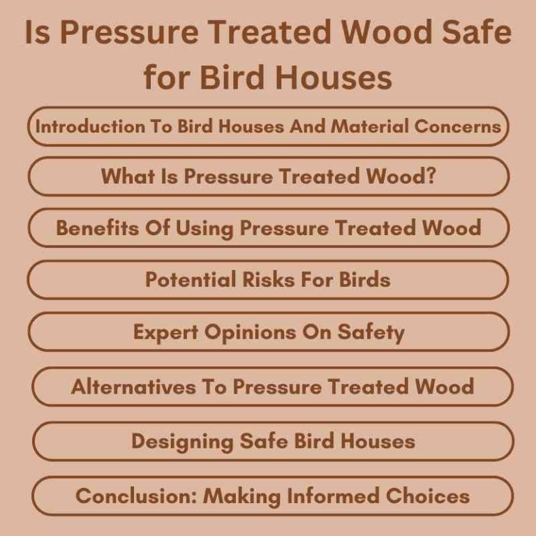 Is Pressure Treated Wood Safe for Bird Houses? Critical Insights