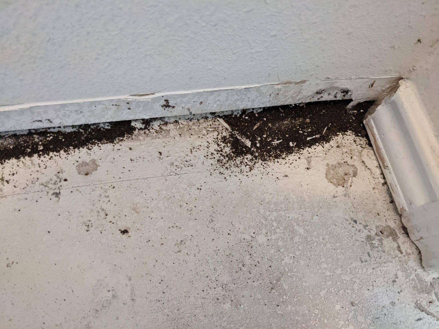 Pile of Dirt near Baseboard: Causes, Prevention, and Solutions