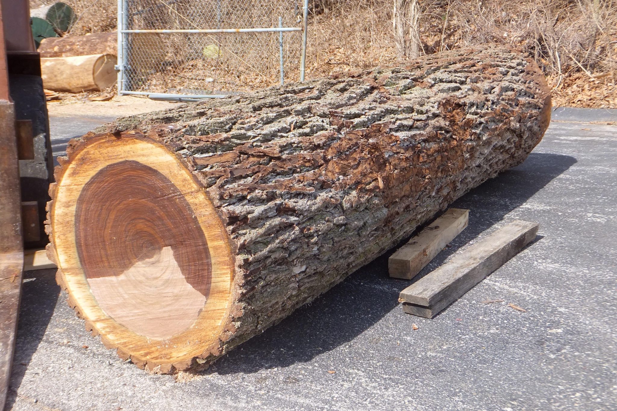 Is-Wood-Ash-Good-For-Chickens: Essential Guide – Woodworking Advisor