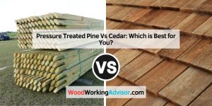 Maple Vs Pine: Which Wood is Best for Your Project?