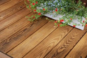 Difference between Semi Transparent And Transparent Stain: Key Insights