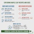 Are Maple Leaves Edible: Essential Guide – Woodworking Advisor