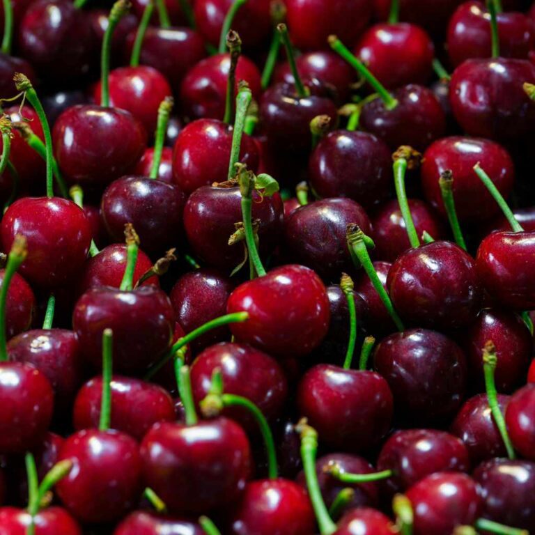 Bing Cherry vs Black Cherry: Taste, Uses, and Nutrition