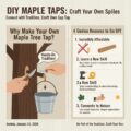 DIY Maple Tree Tap: Your Genius, Essential Method